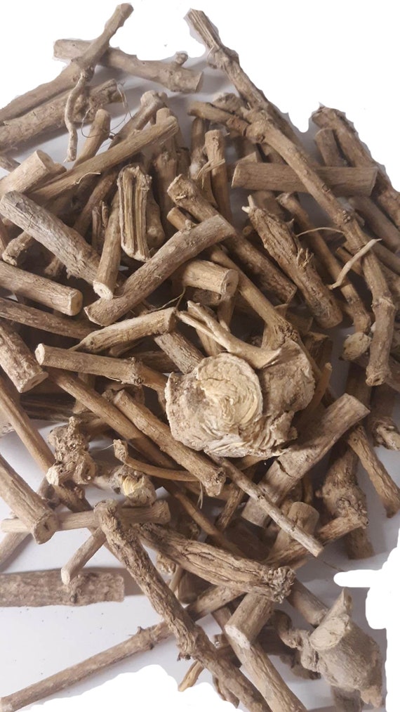 14g A Silene Capensis African Dream Root Ubulawu - Etsy