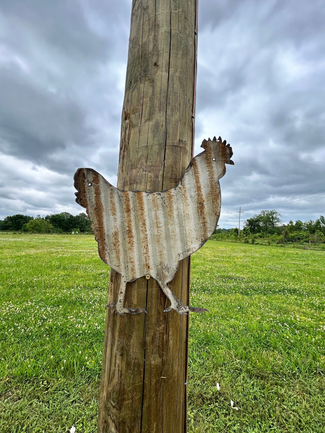 Chicken Corrugated Tin, Chicken Metal Sign, Corrugated Metal Signs ...