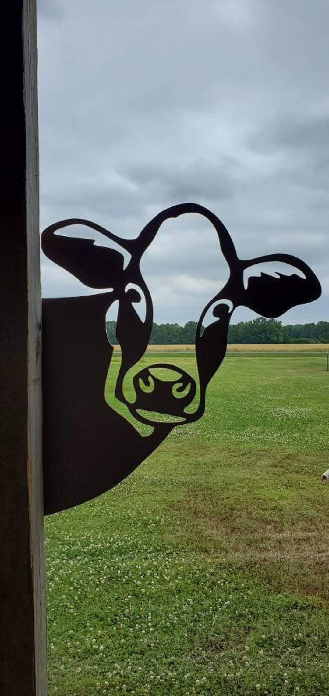 Metal Cow Sign, Gift Metal Sign for Outdoors, Backyard Metal Signs ...