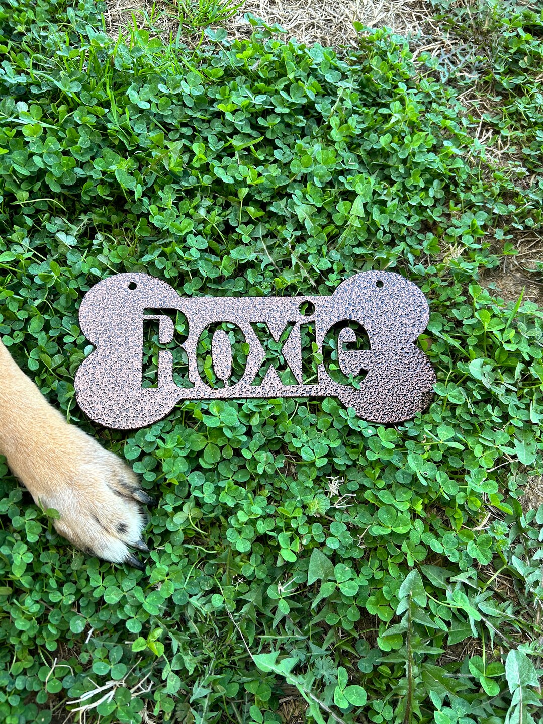 Metal Signs Personalized Dog, Custom Crate Sign, Metal Dog Sign, Dog ...