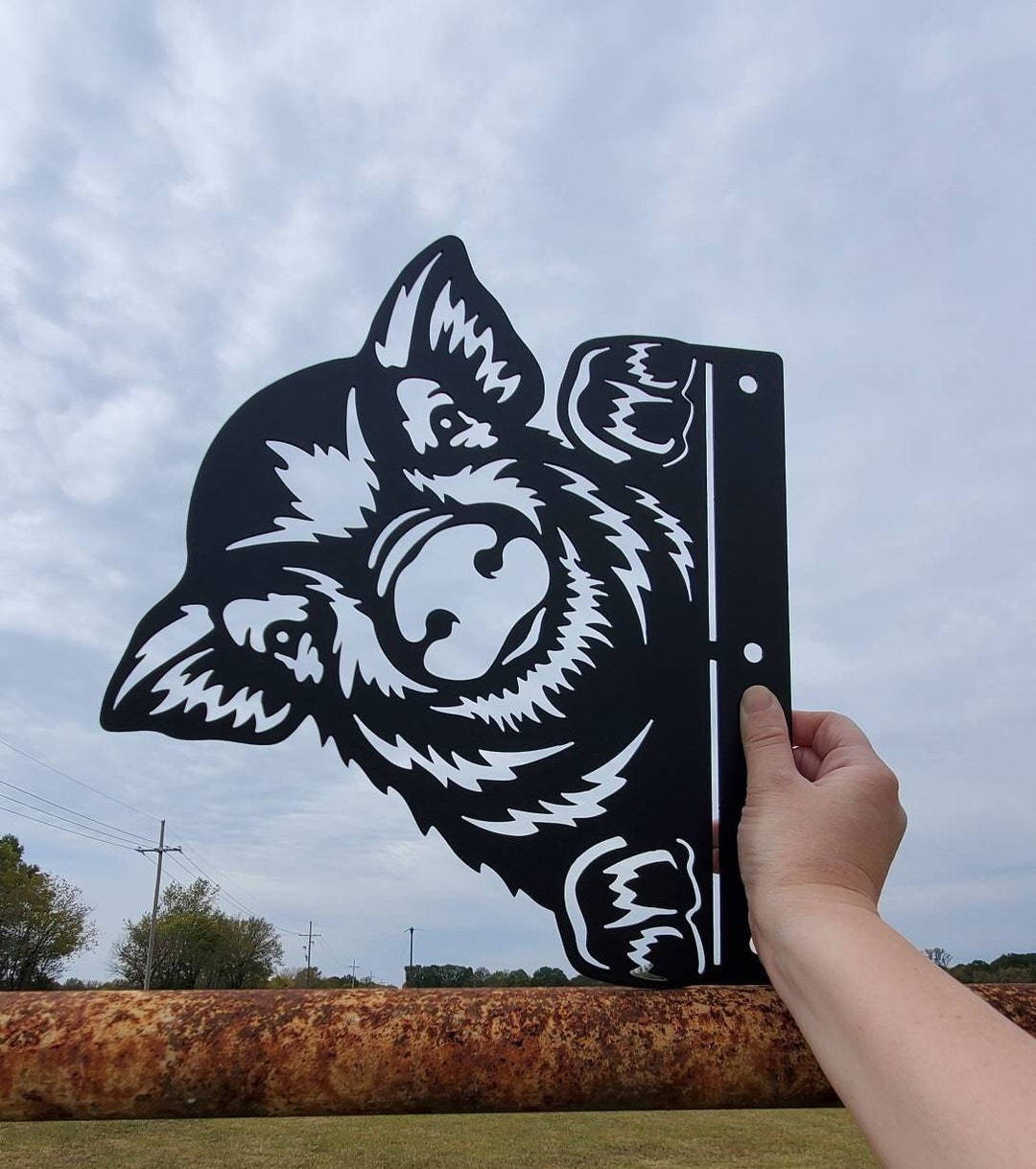 Peek-a-boo Metal Pig, Pig Decor, Peeping Pig, Metal Sign, Farm Metal ...