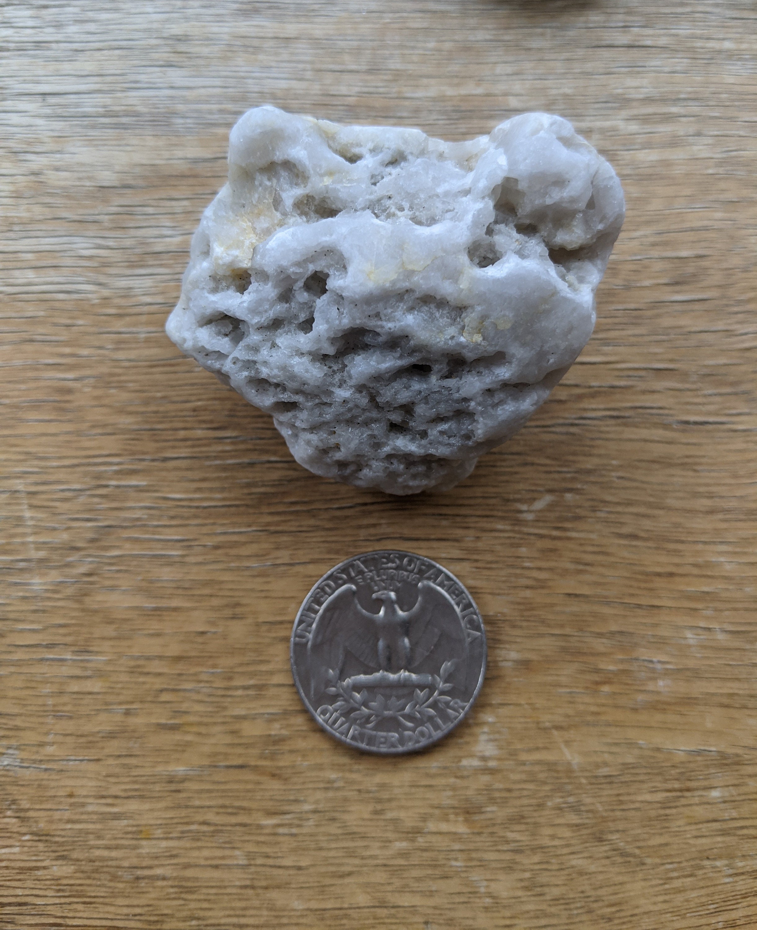 13 Unique Pitted Textured Multicolored Beach Stones Found - Etsy