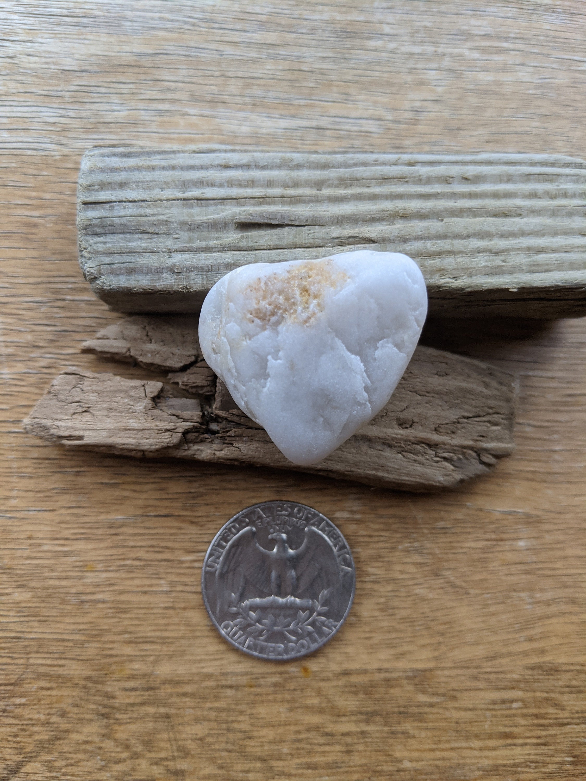 13 Unique Pitted Textured Multicolored Beach Stones Found - Etsy