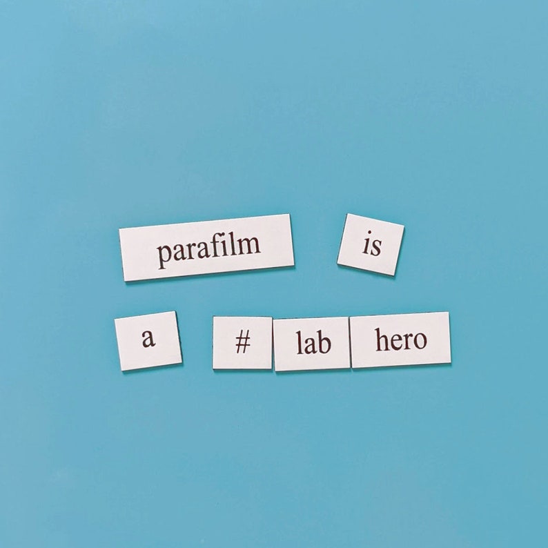 Science Word Magnets | Refrigerator Decoration | Science Poetry and ...