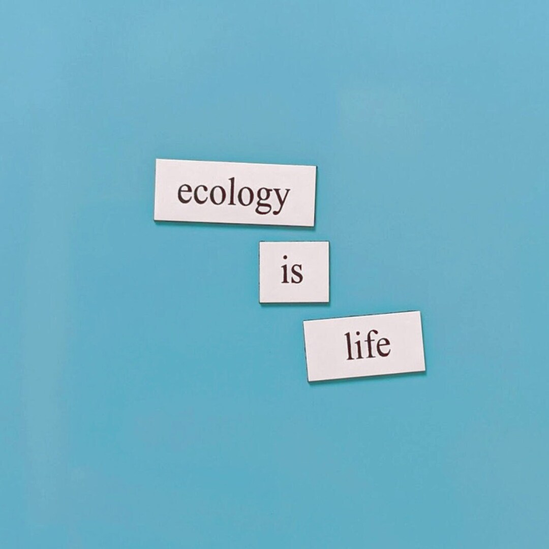 Ecology Word Magnets | Office Refrigerator Magnets | Ecology Poetry and ...