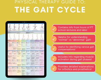 Gait Cycle | Physical Therapy | Occupational Therapy | Study Guide ...
