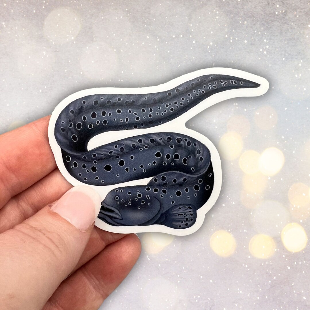 Pacific Northwest Wolf Eel Fish Sticker - Etsy