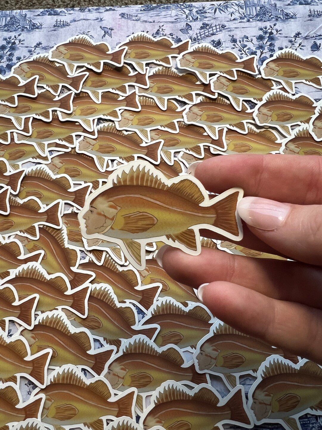 Canary Rockfish Fish Sticker With Human Face - Etsy