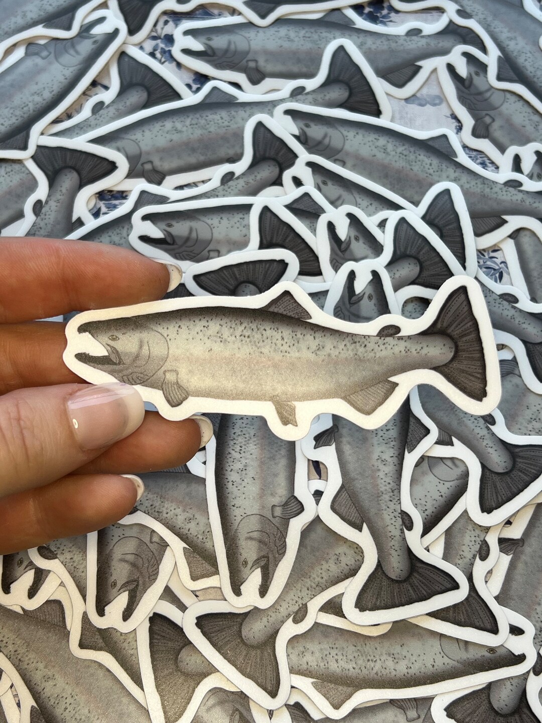 Chinook King Salmon Fish Sticker - Etsy