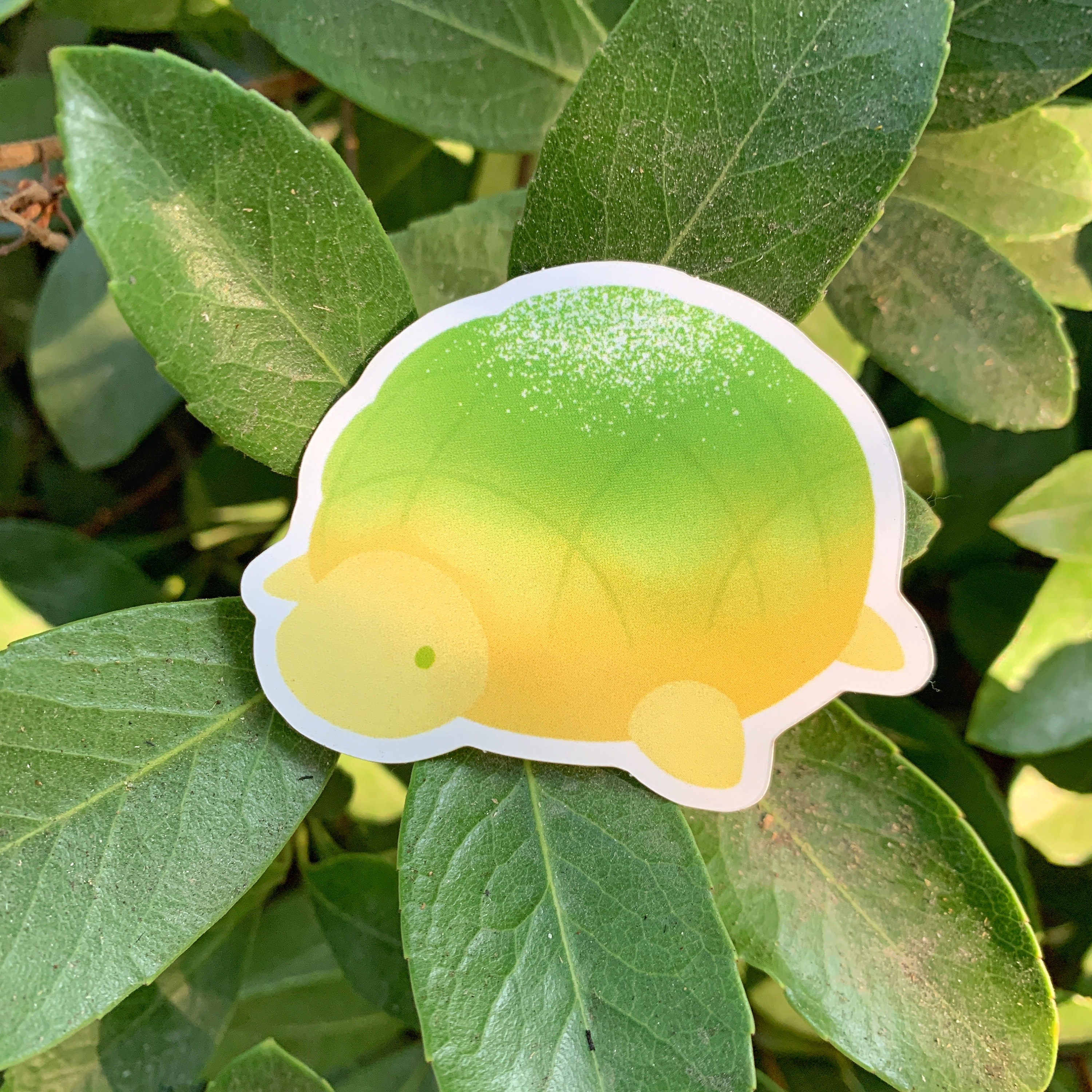 Turtle Melon Pan Weather Proof Vinyl Stickers - Etsy