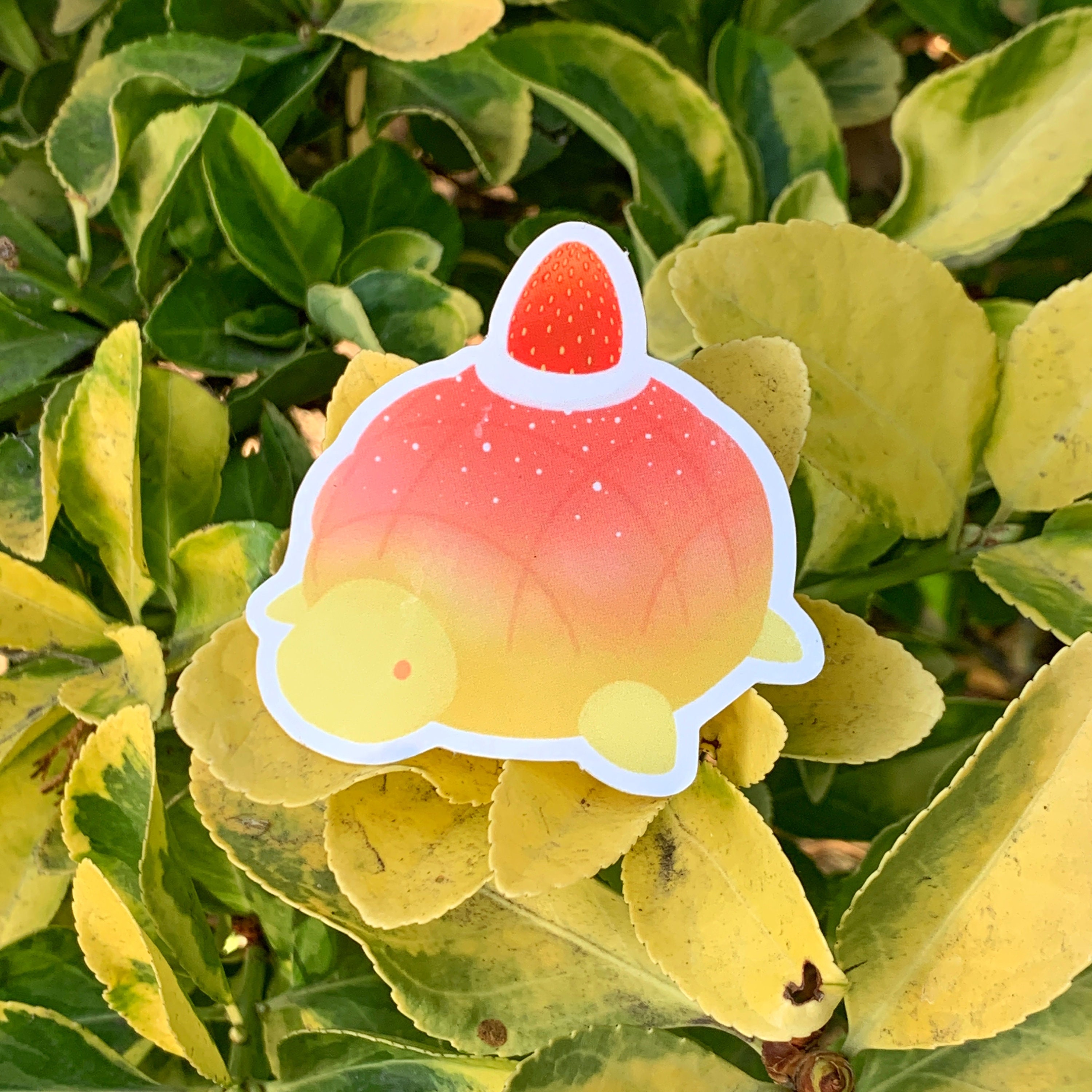 Turtle Melon Pan Weather Proof Vinyl Stickers - Etsy