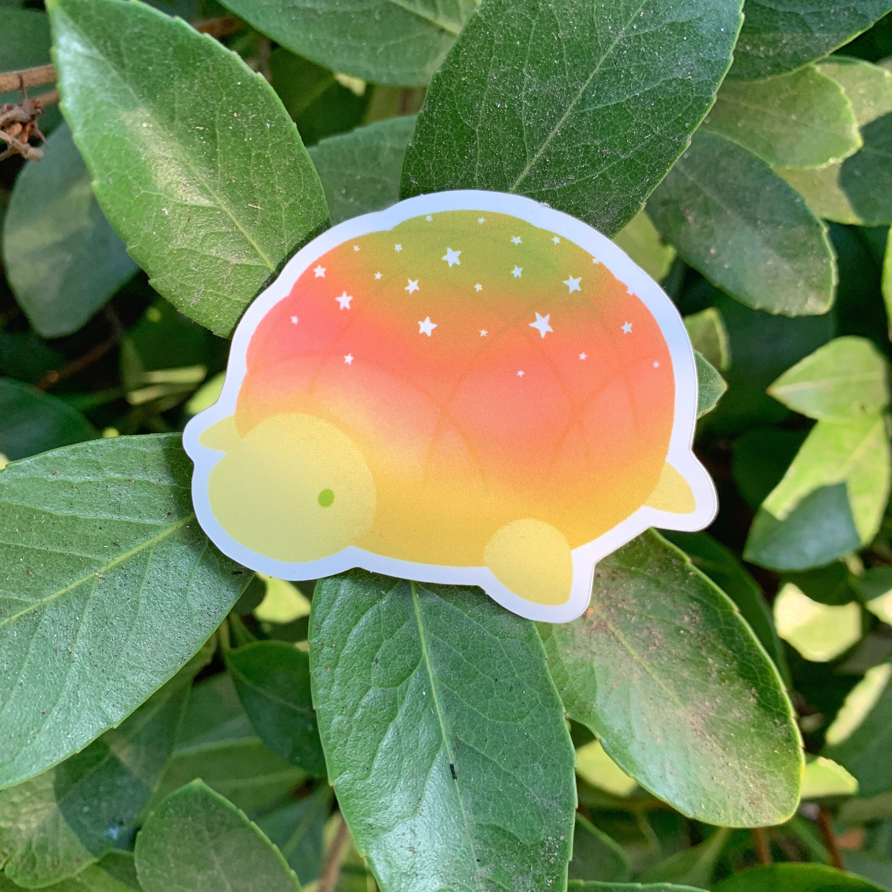 Turtle Melon Pan Weather Proof Vinyl Stickers - Etsy