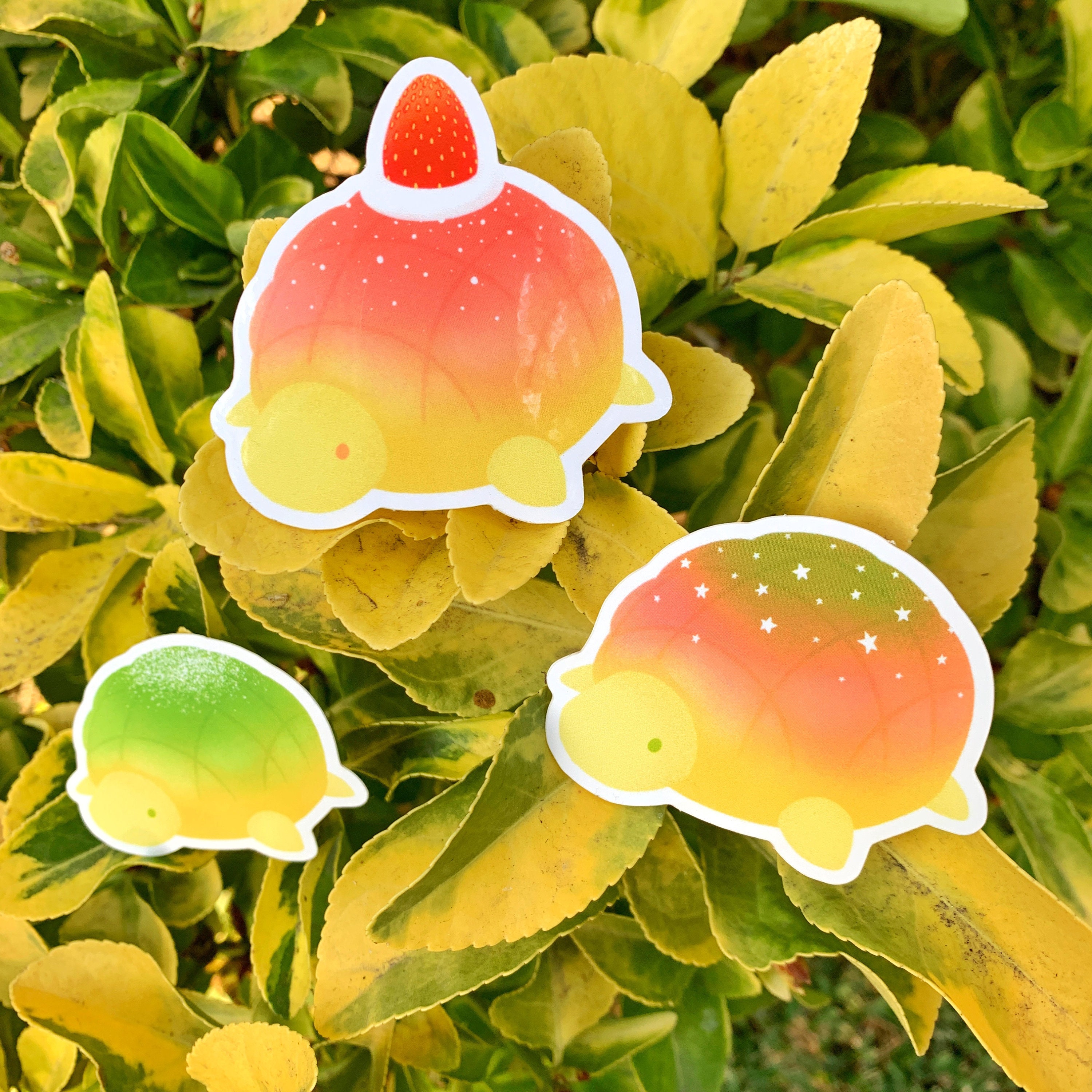 Turtle Melon Pan Weather Proof Vinyl Stickers - Etsy