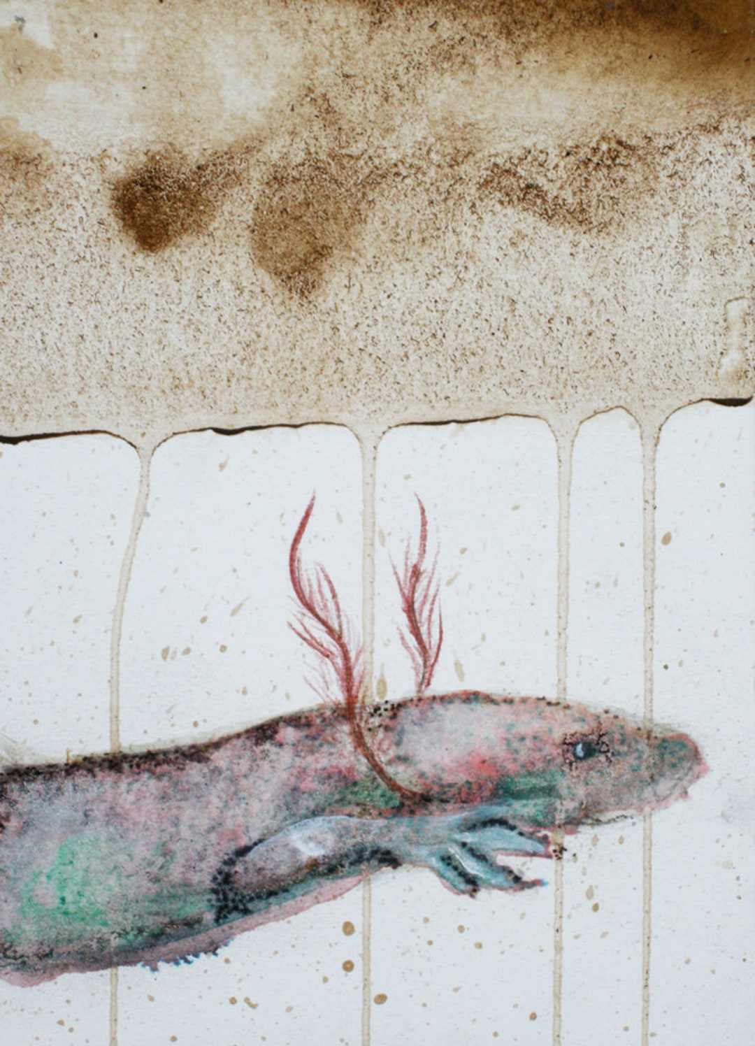 Cascade Caverns Salamander Portrait I - Etsy