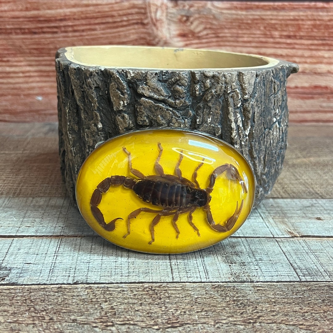 Real SCORPION ALACRAN EPOXY Handmade Oval Western Belt Buckle Hebilla ...