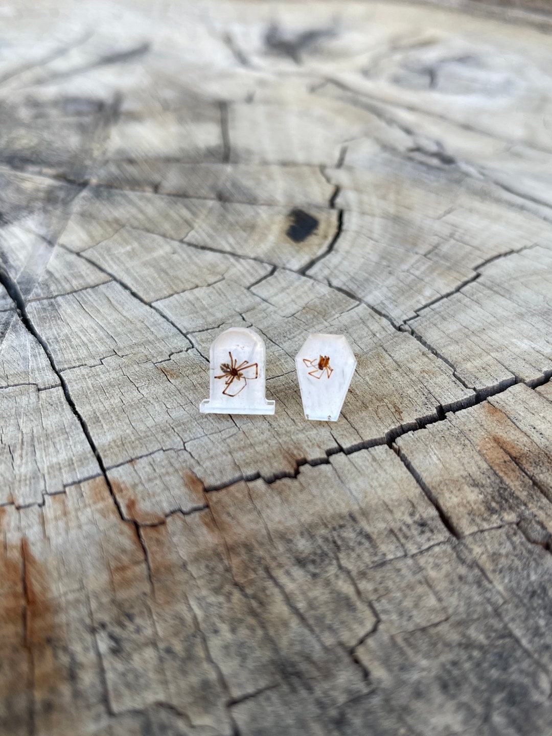 Stud Earrings Coffin, Gravestone, Real Preserved Spider & Bugs - Etsy ...
