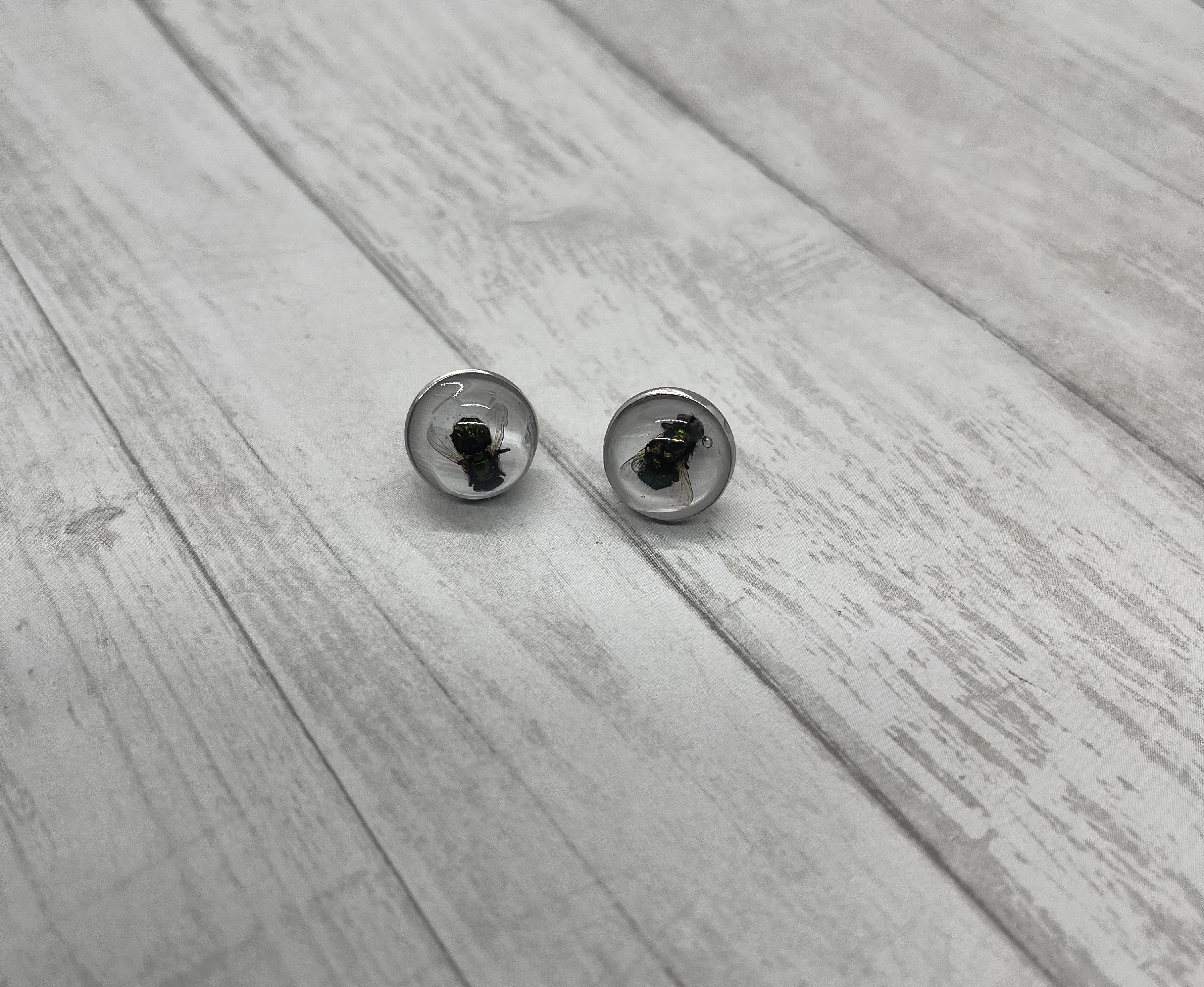 Stud Earrings Coffin, Gravestone, Real Preserved Spider & Bugs - Etsy ...