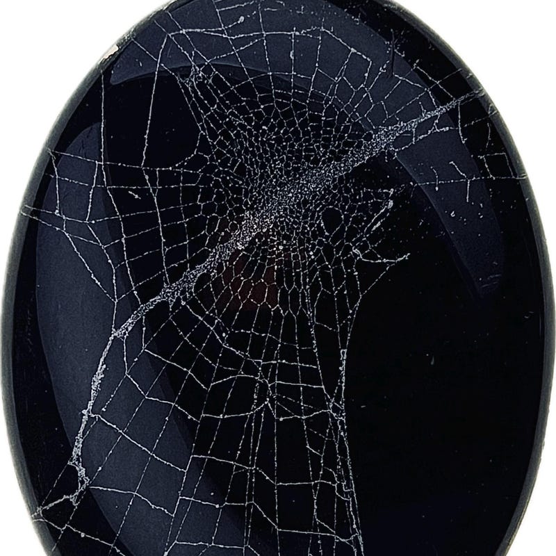 Pressed Spider Web - Etsy