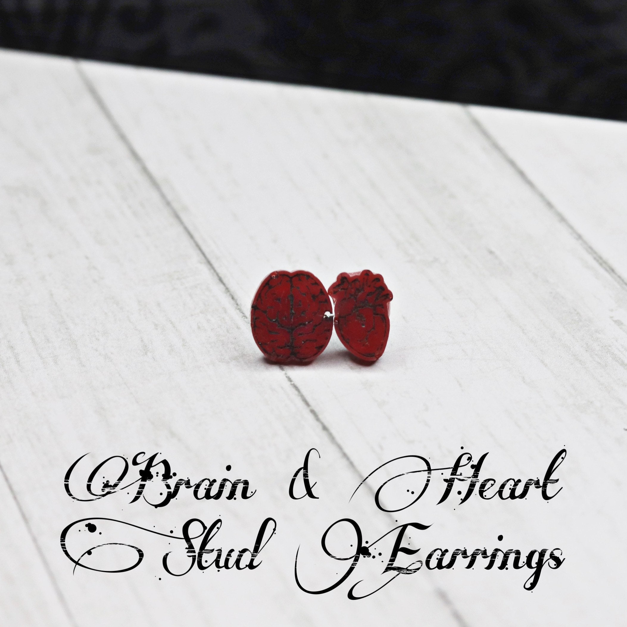 Stud Earrings Coffin, Gravestone, Real Preserved Spider & Bugs - Etsy ...