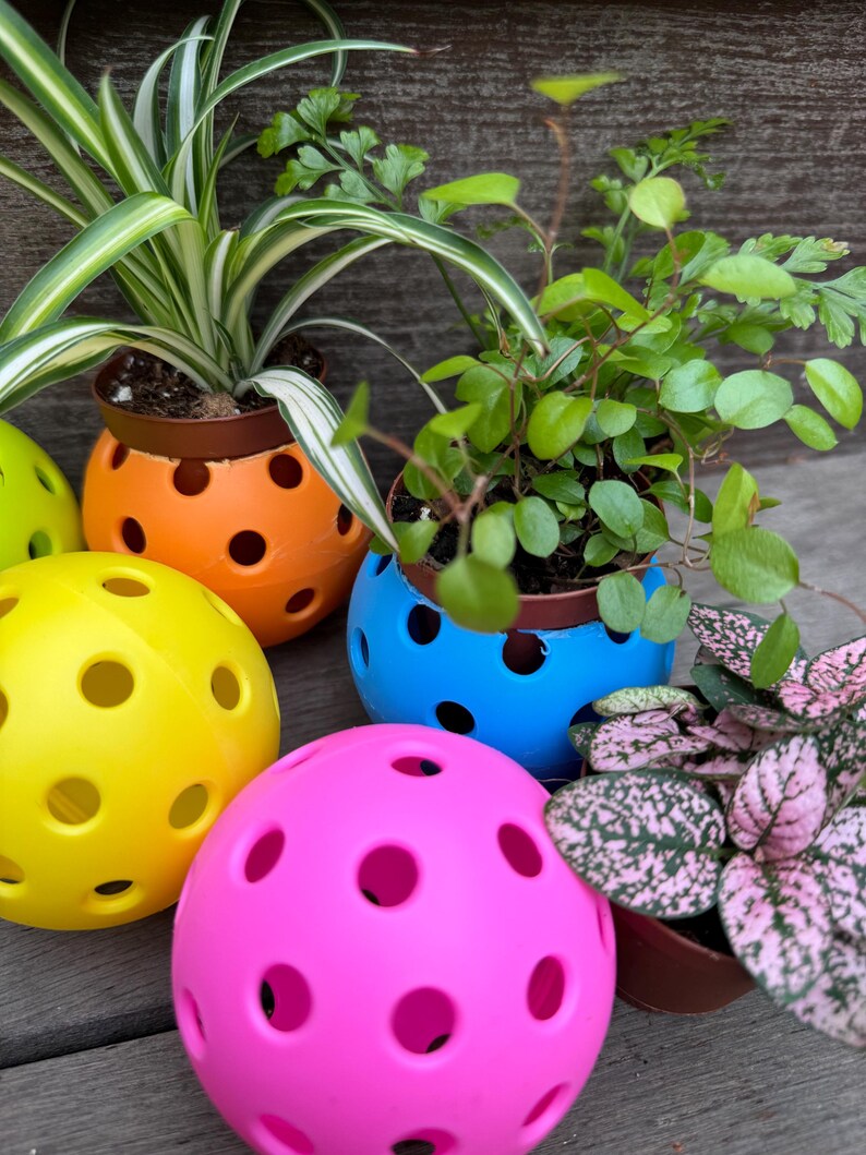 Pickleball Planter & Plant - Etsy