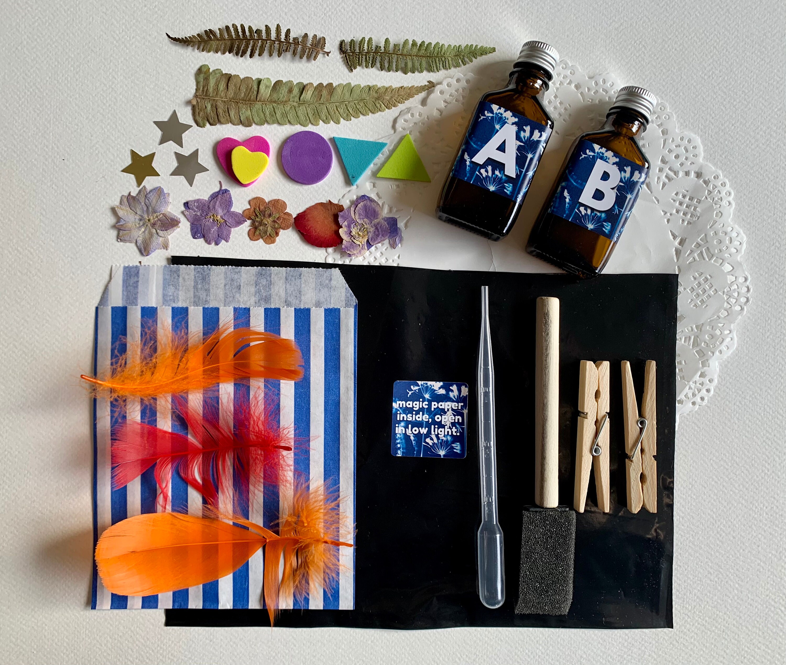 Cyanotype Kit Workshop in a Box - Etsy