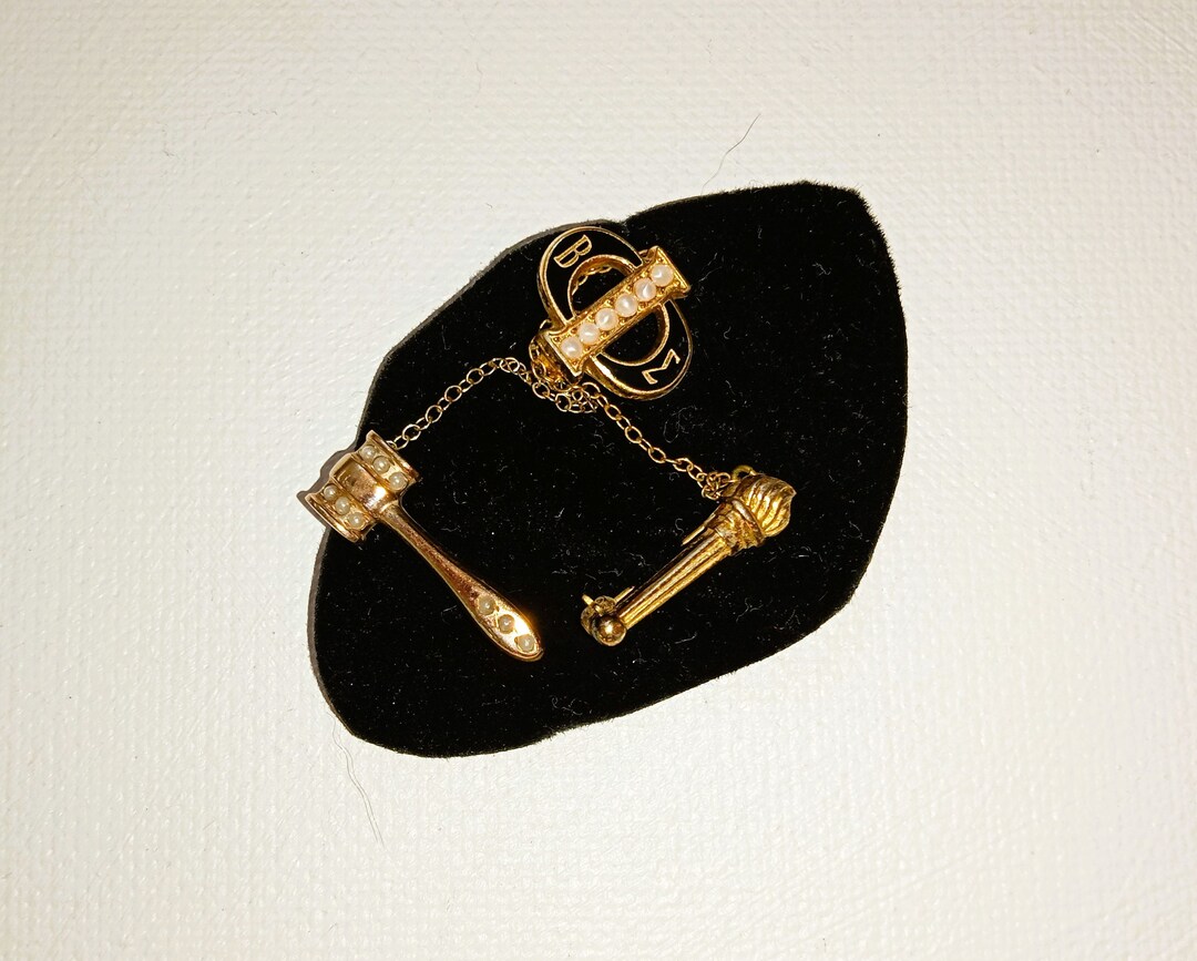 Vintage Beta Sigma Phi Sorority Lapel Pin With Torch and Gavel - Etsy