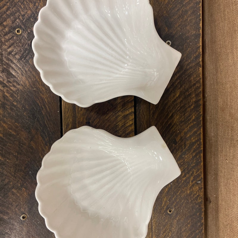 Mini Sea Shells - Etsy