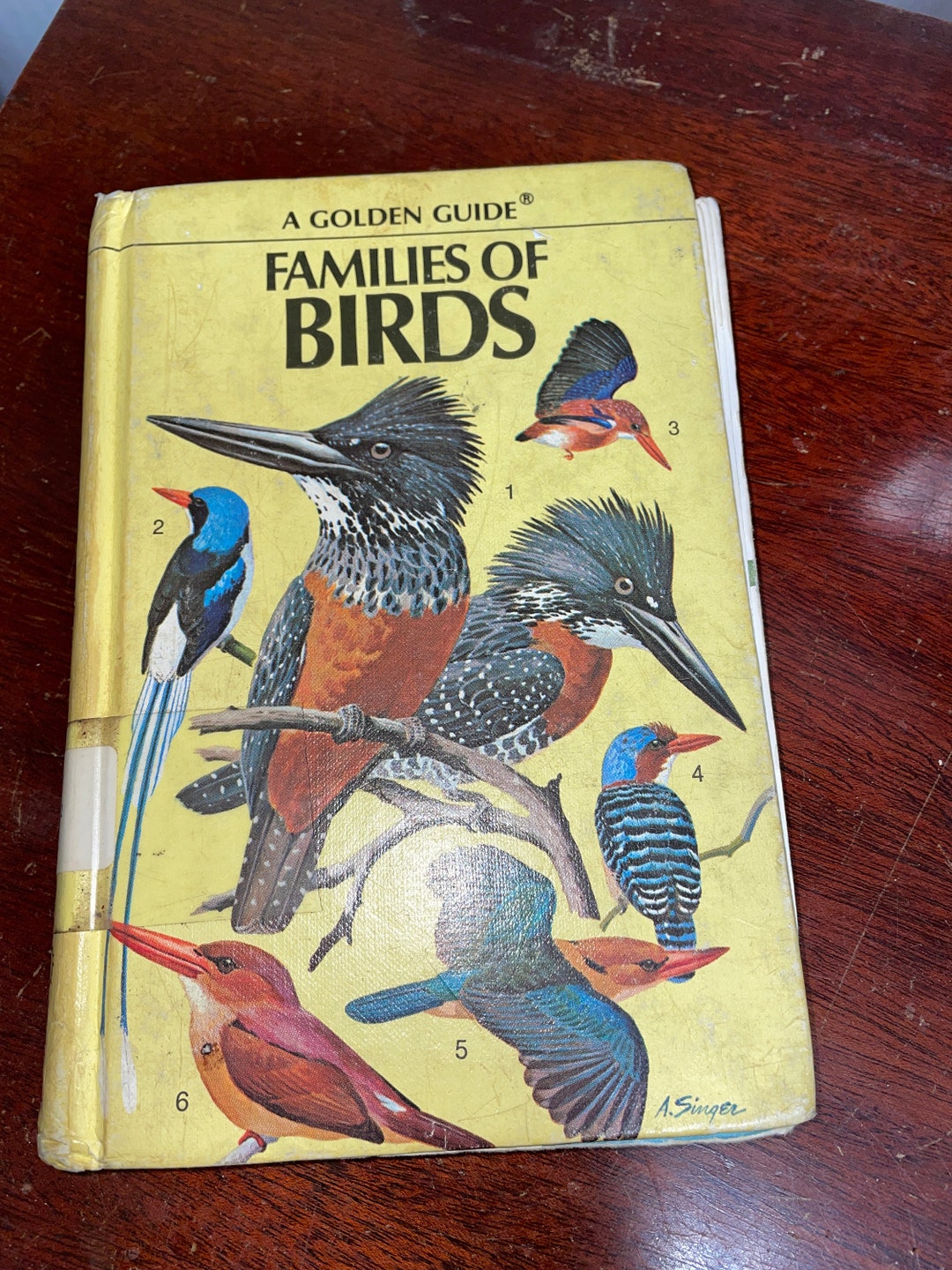 Vintage Bird Book,families of Birds Golden Guide Book, Antique Hardback ...