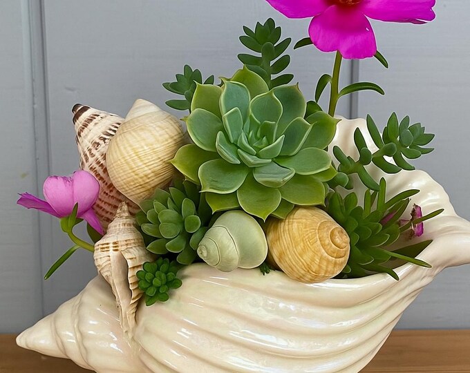 Vintage Iridescent Sea Shell Planter,conch Vase,indoor Nautical Decor ...