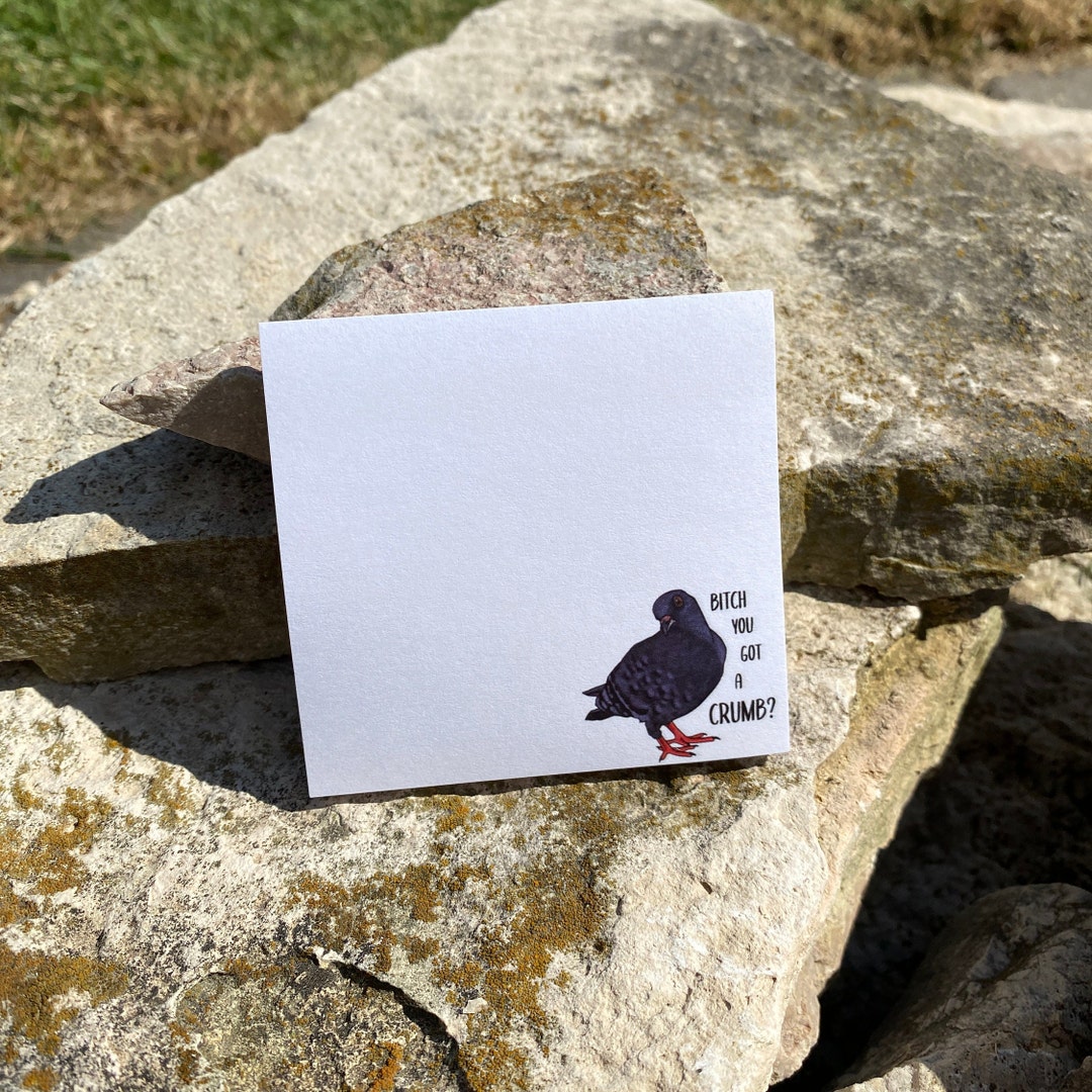 Pigeon Sticky Notes, Funny Pigeon Notepad, Cute Stationary, Gift for ...