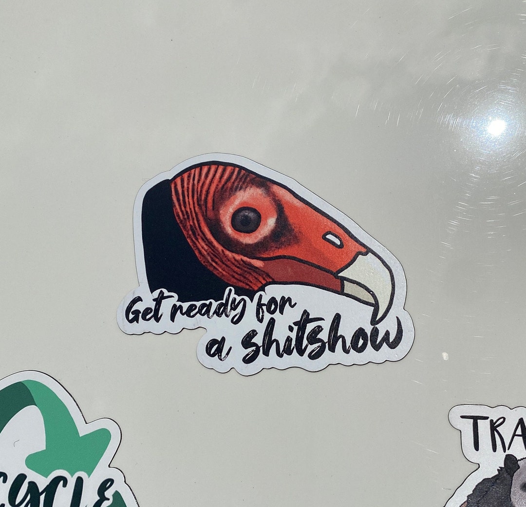 Unique Vulture Magnet, Funny Bird Design, Great Gift for Friends ...