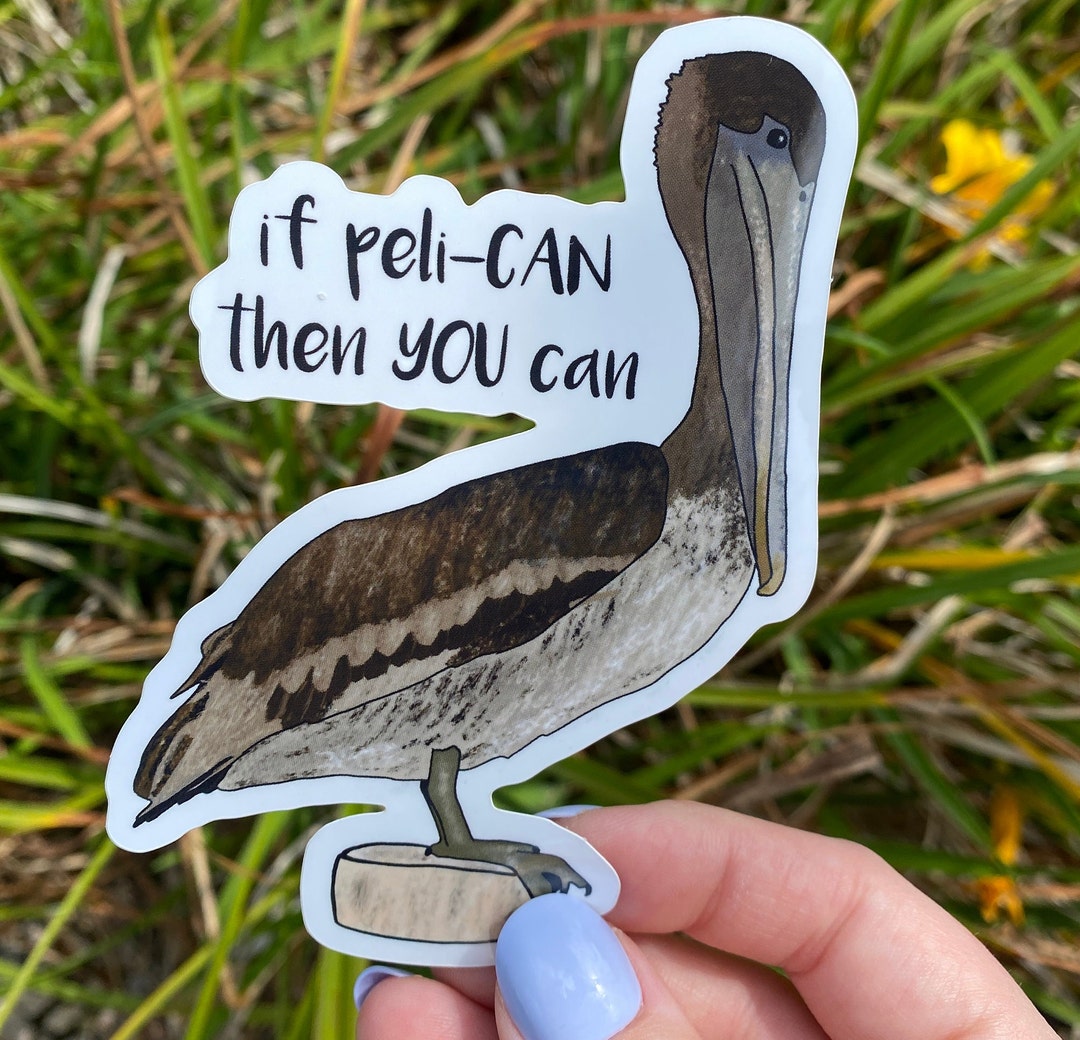 Pelican Sticker, Waterproof Vinyl Decal, Water Bottle Sticker, Laptop ...