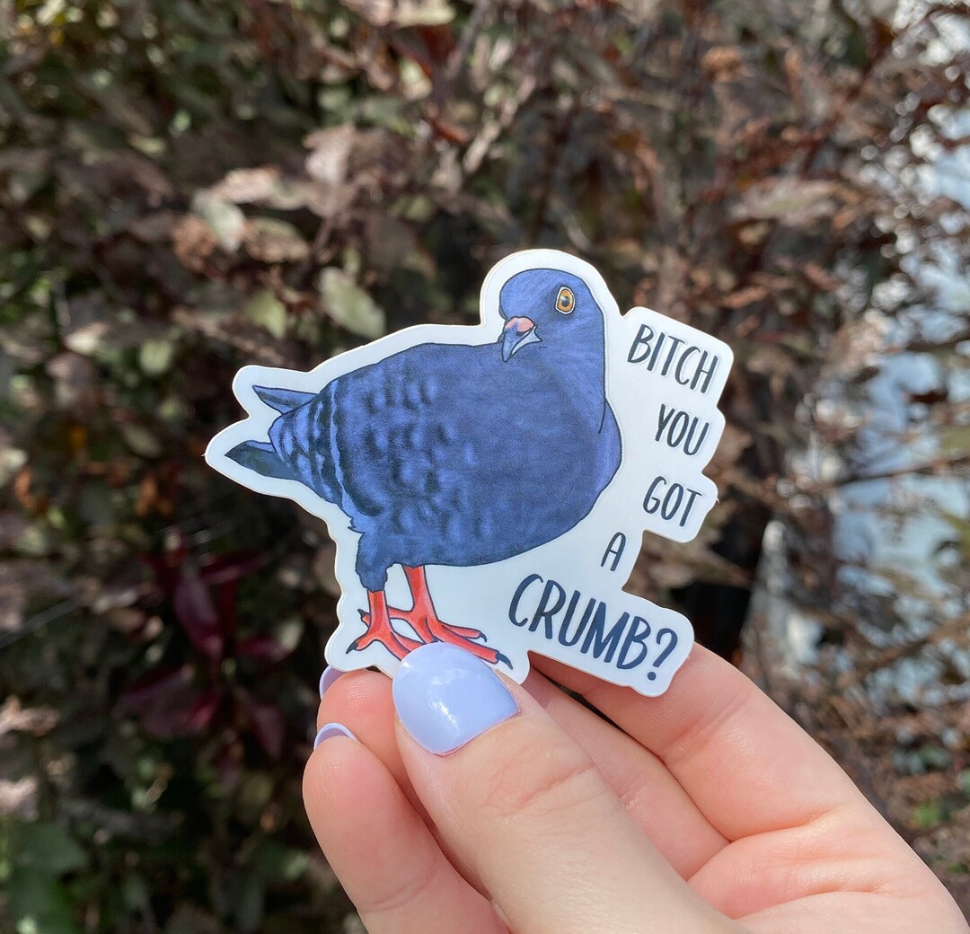 Funny Pigeon Sticker, Cute Car Sticker, Unique Gift for Pigeon Lovers ...