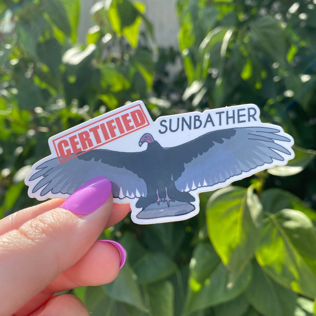 Sunbathing Vulture Sticker, Funny Car Decal, Cute Vinyl Decal, Turkey ...
