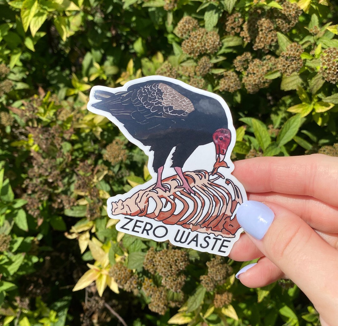 Vulture Vinyl Sticker, Funny Car Decal, Hilarious Gift for Animal ...