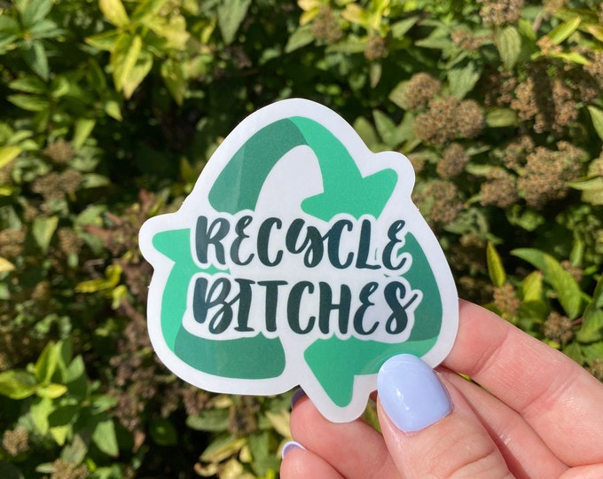 Funny Recycle Sticker, Vinyl Recycling Decal, Unique Eco-friendly Gift ...