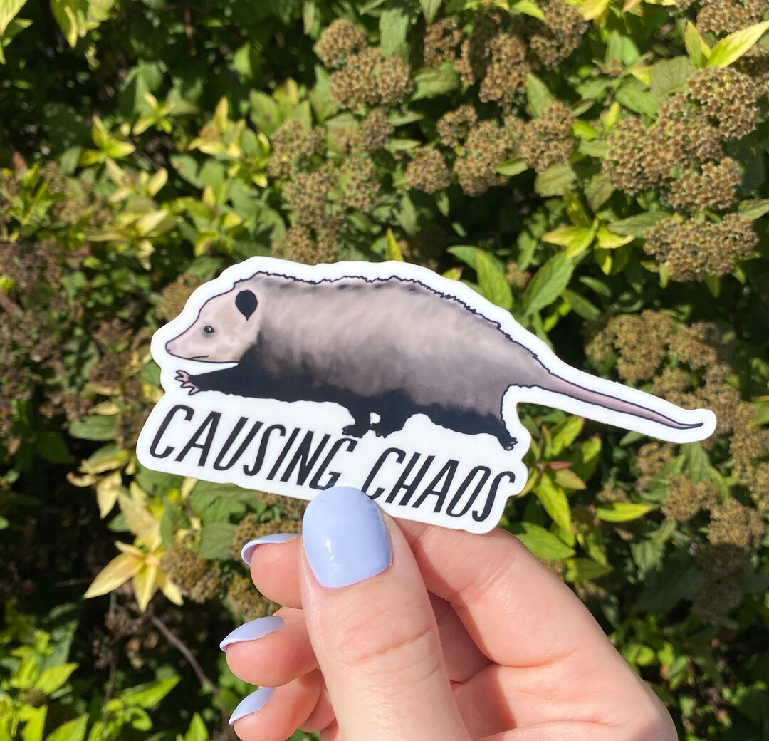Opossum Gift Sticker, Funny Animal Decal, Unique Present Idea - Etsy