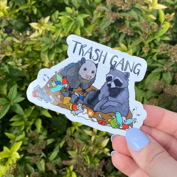 Trash Panda Stickers - Etsy