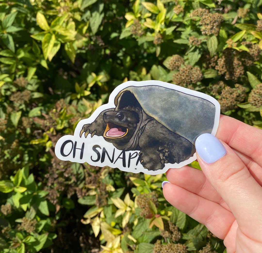 Oh Snap Turtle Sticker, Snapping Turtle Vinyl Decal, Funny Nature Gift ...