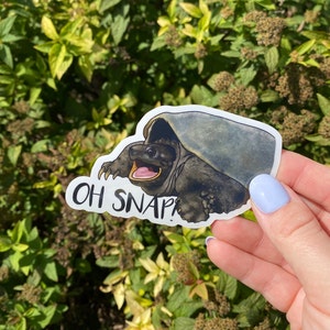 Oh Snap Turtle Sticker, Snapping Turtle Vinyl Decal, Funny Nature Gift ...