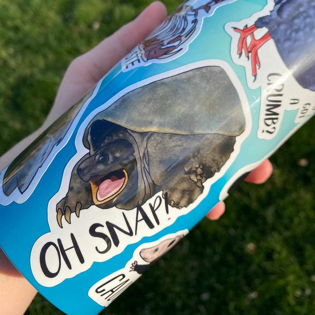Oh Snap Turtle Sticker Snapping Turtle Vinyl Decal Funny - Etsy