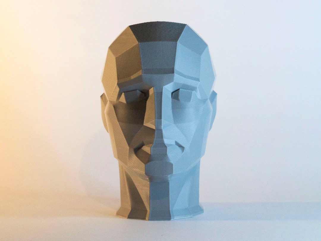 BESTSELLER - 3D Printed Planar Head Sculpture - Headpiece Model ...