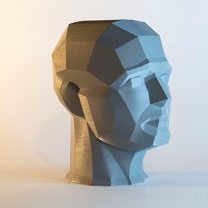 BESTSELLER - 3D Printed Planar Head Sculpture - Headpiece Model ...