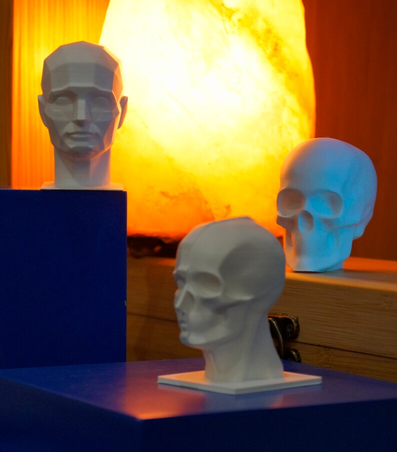 Portrait Reference BEST 3D Print Planar Head Planes 4.5in and - Etsy ...