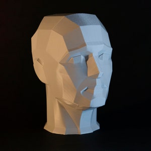 BESTSELLER - 3D Printed Planar Head Sculpture - Headpiece Model ...