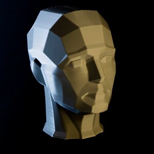 BESTSELLER - 3D Printed Planar Head Sculpture - Headpiece Model ...