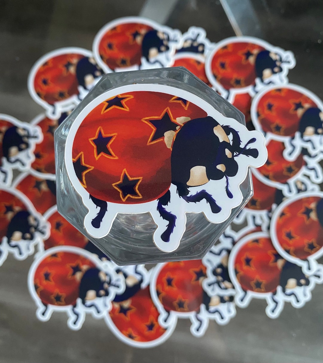 Star Ladybird Sticker - Etsy