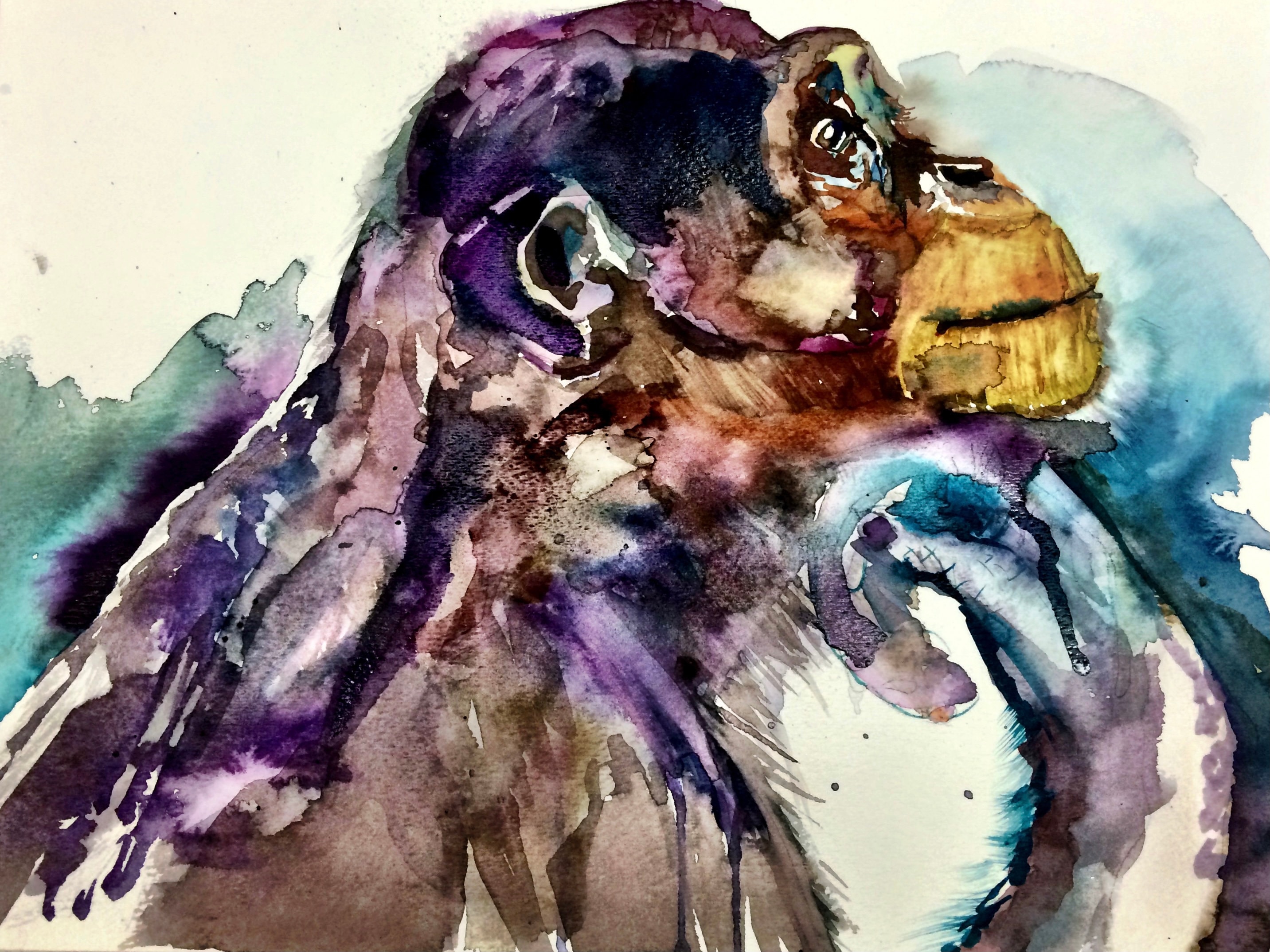 Thinking Monkey (print) - Etsy