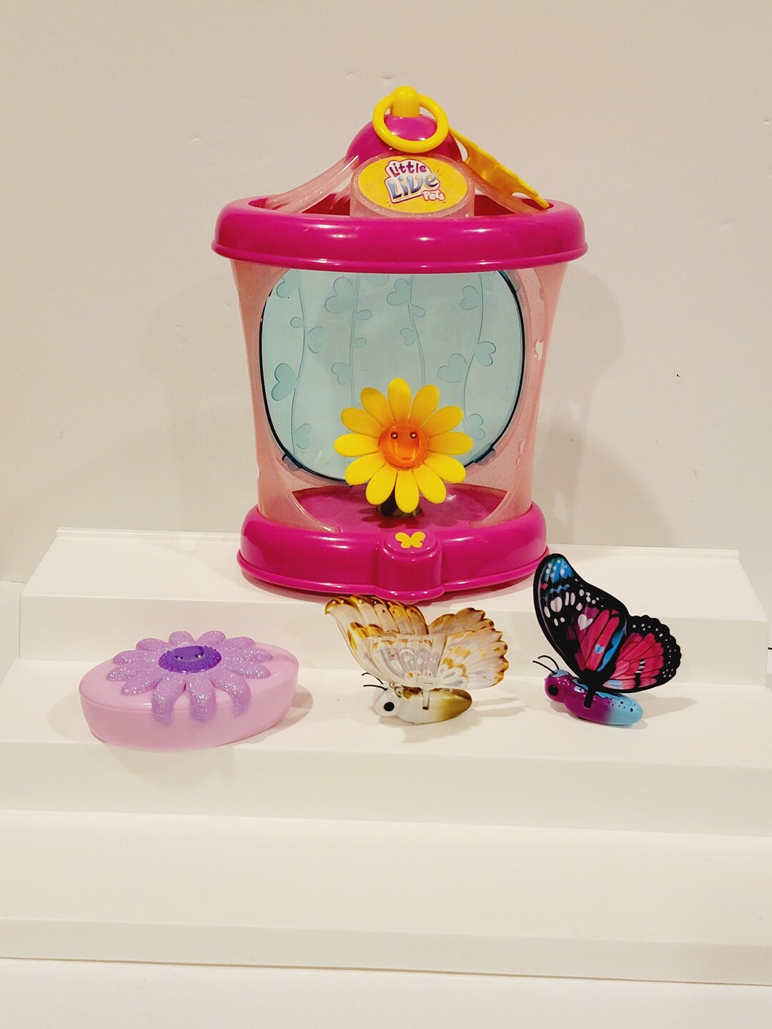 Little Live Pets Butterfly House With Two Butterflies - Etsy