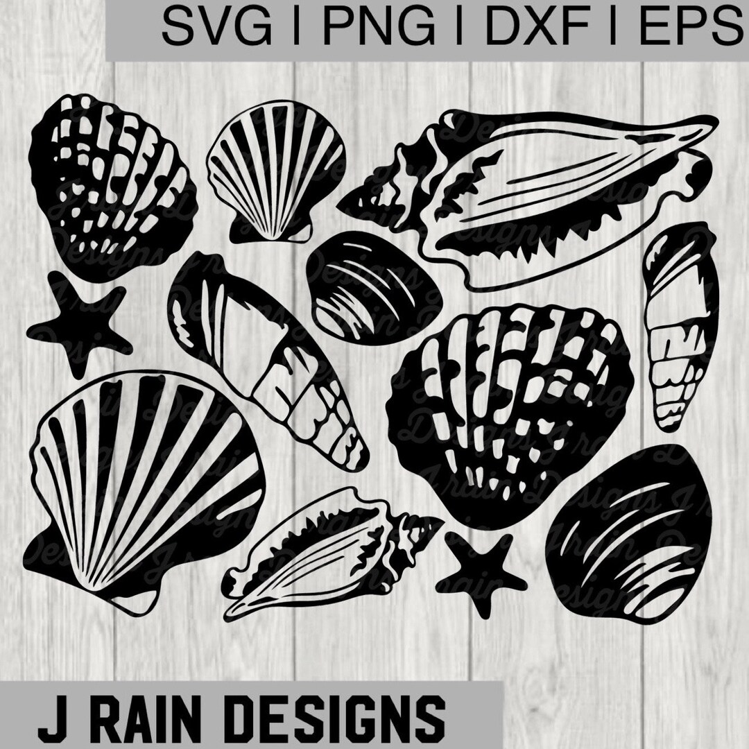 Seashells Svg - Seashells Png - Seashells DXF - Seashells Eps - Shell ...